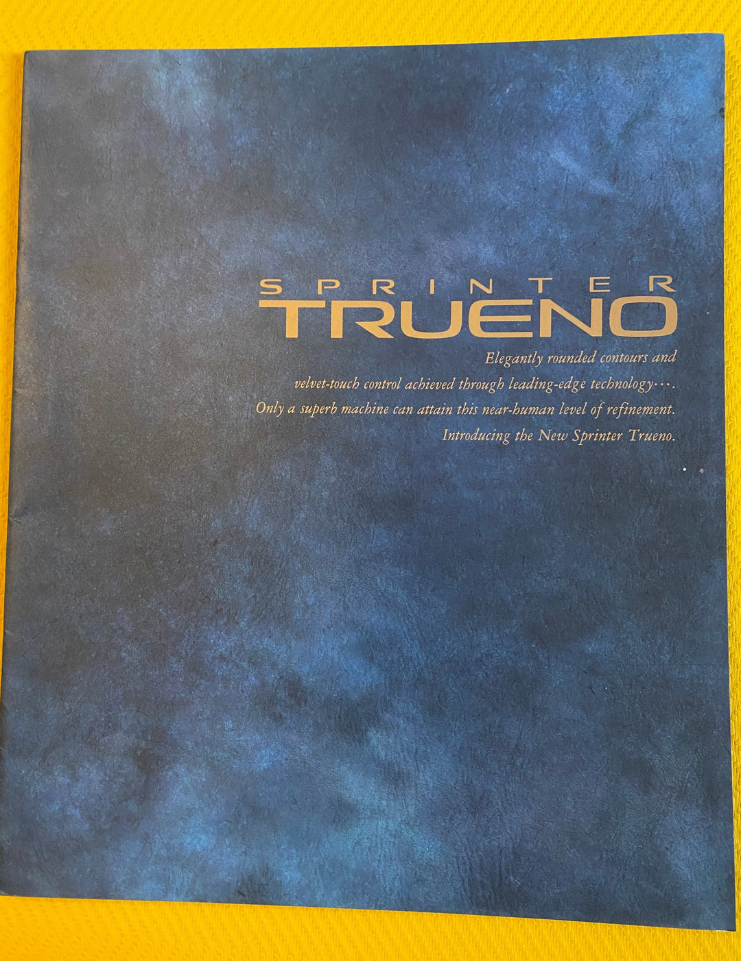 TOYOTA Trueno AE101 1991 Japan Brochure – NIHOBBY 日改通商